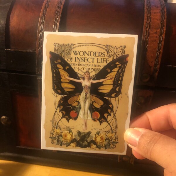 Victorian Fairy Stickers - Etsy