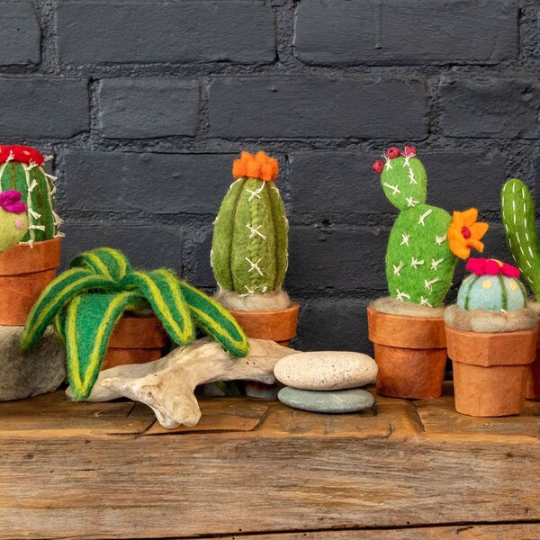 Cactus Decor - Etsy