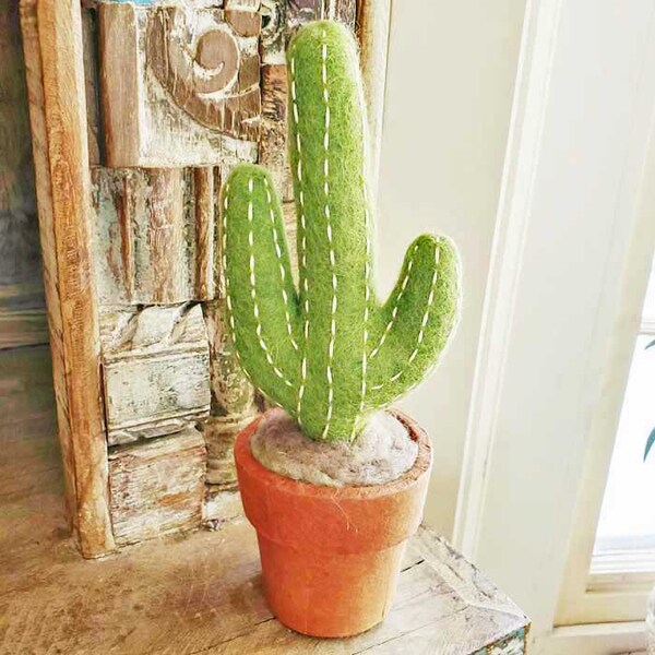 Cactus Centerpiece - Etsy