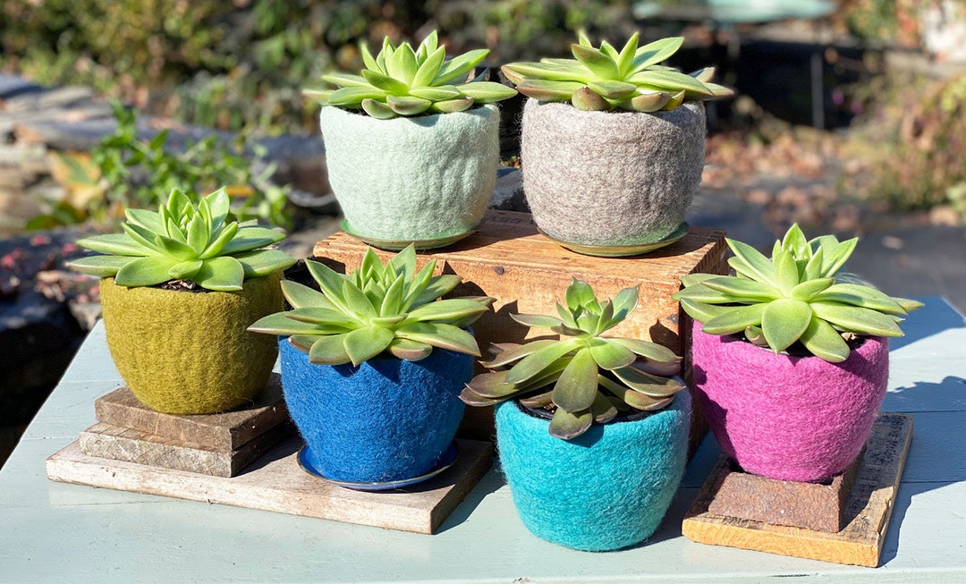 Felt Bowl/ Felt Pot/ Felt Planter/ Succulent Planter/ Macramé Plant ...