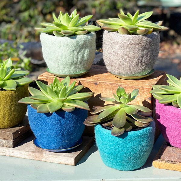 Felt Plant Hanger - Etsy
