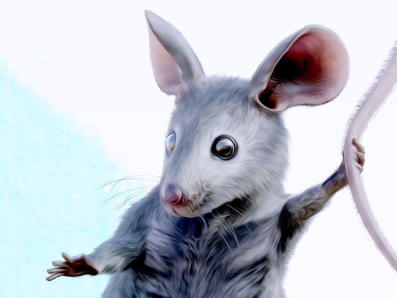 Cute Mouse Print, Travel Theme Nursery, Adventure Awaits, Adventure ...