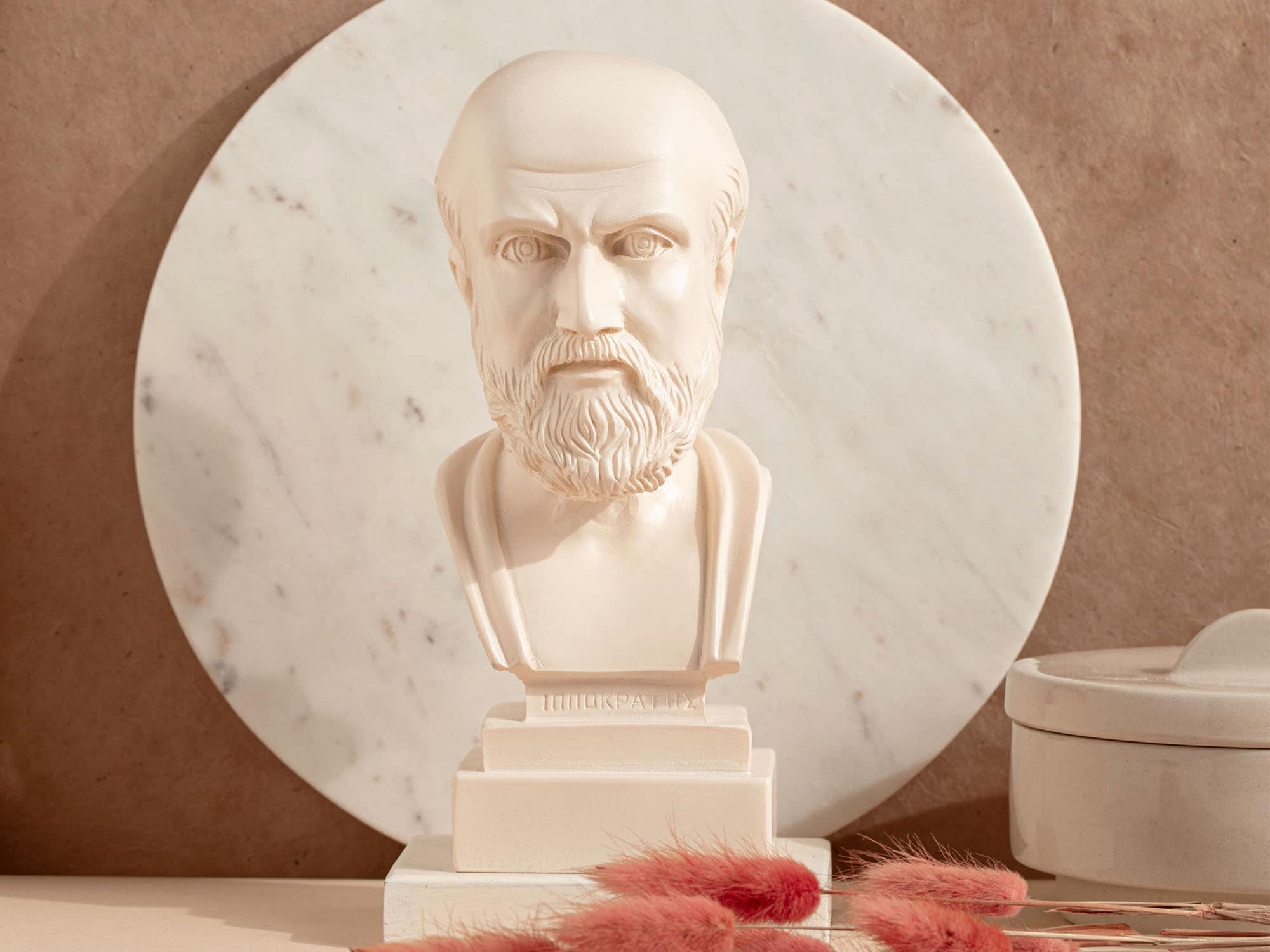 Hippocrates Bust Sculpture Office Decor 25 Cm Height - Etsy