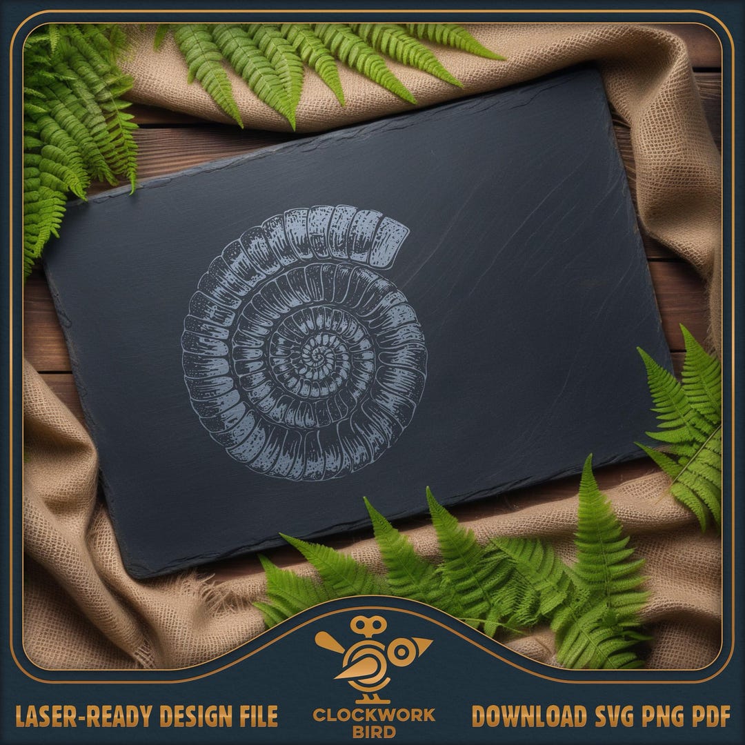 Ammonite Fossil Laser Engraving File: Slate Art, Charcuterie Board ...