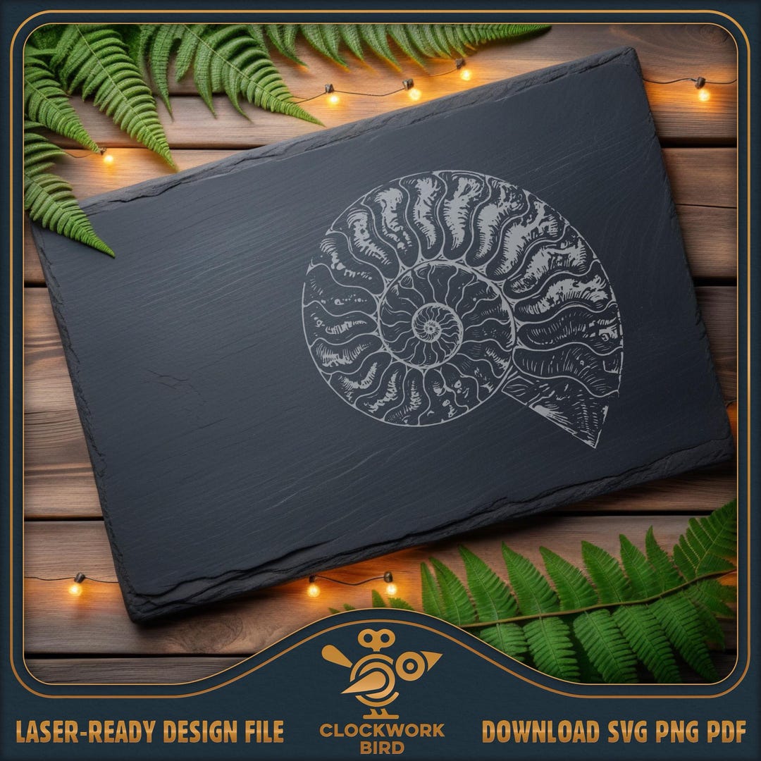 Ammonite Fossil Slate Engraving Laser File (SVG, PDF, PNG) - Etsy
