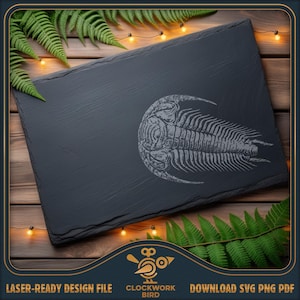 Trilobite Fossil Slate Engraving: Laser Cut File (SVG, PDF, PNG) - Etsy