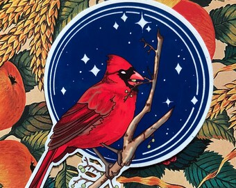 Night Sky Vinyl | Etsy