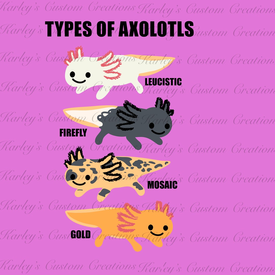 Types of Axolotls Axolotl Smiling Fun Mine Craft Animal Cute Axolotl ...