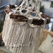 Wooden Macrame Hanging Lamp Macrame Light Fixture Bohemian - Etsy