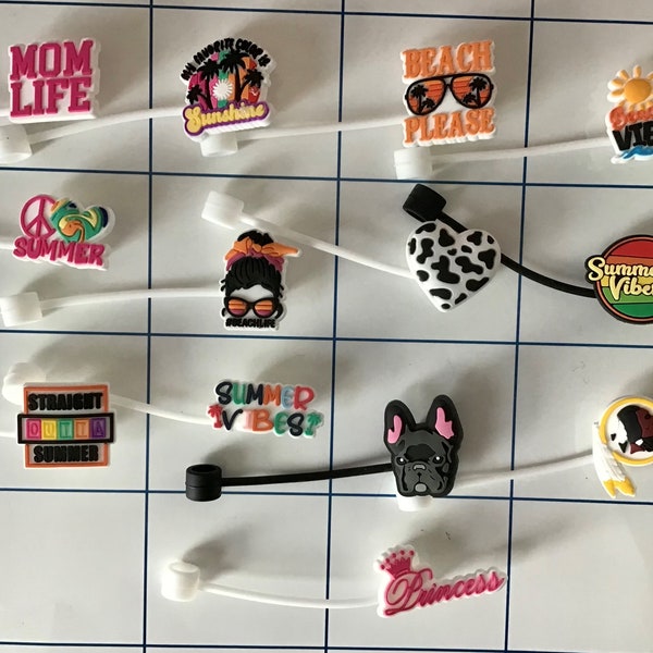 New Summer Stanley - Etsy