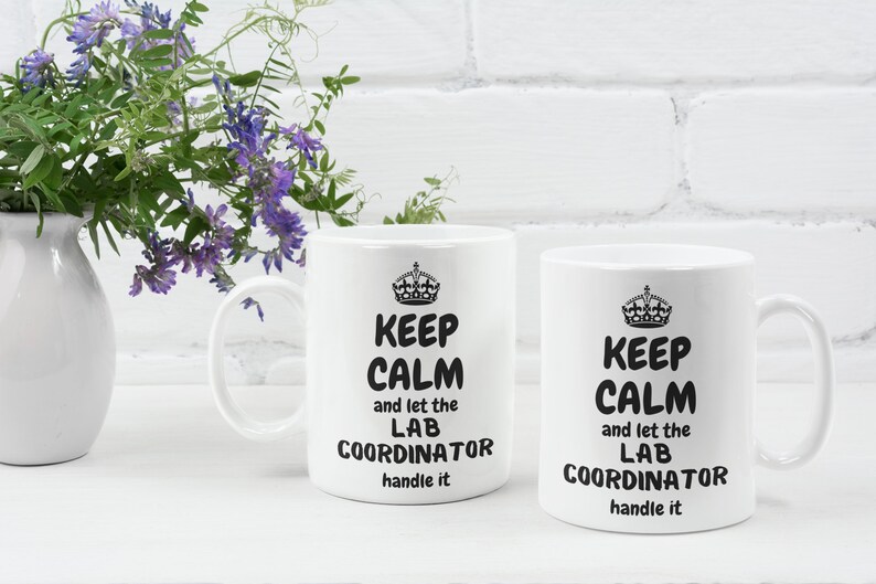 Lab Coordinator Coffee Mug, Medical Laboratory Scientist Tea Cup, Gift ...