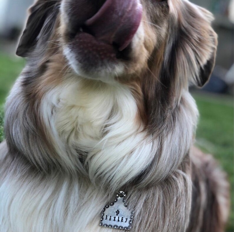 XL Cattle Tag Dog Tags for LARGE Breeds - Etsy