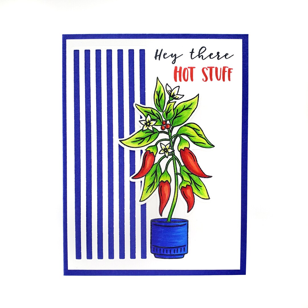 Hey There Hot Stuff Funny Birthday Card for Hot Chili - Etsy