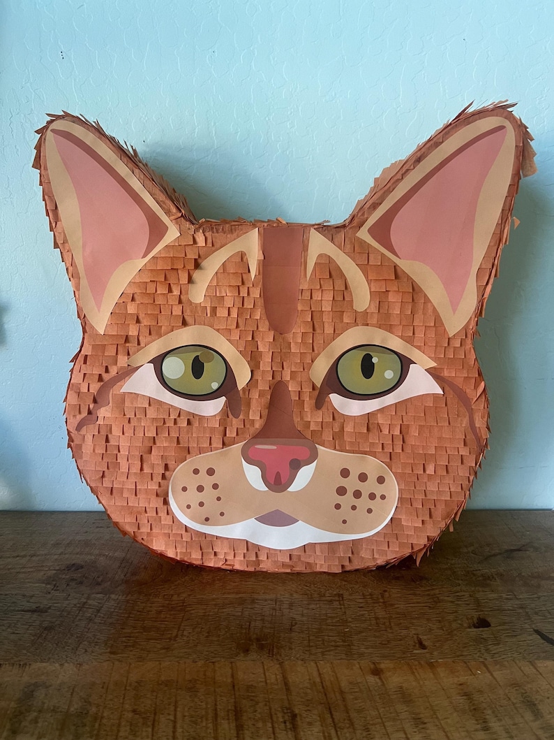 Animal Cat Kitty Handmade Pinata | Birthday Party Piñata Decor - Etsy