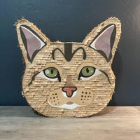 Super Kitten Pinata - Etsy