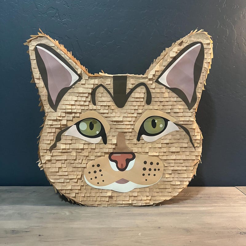 Animal Pinata - Etsy