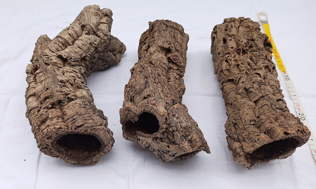 3x Cork Bark Tubes for Vivarium, Terrarium or Decor - Etsy