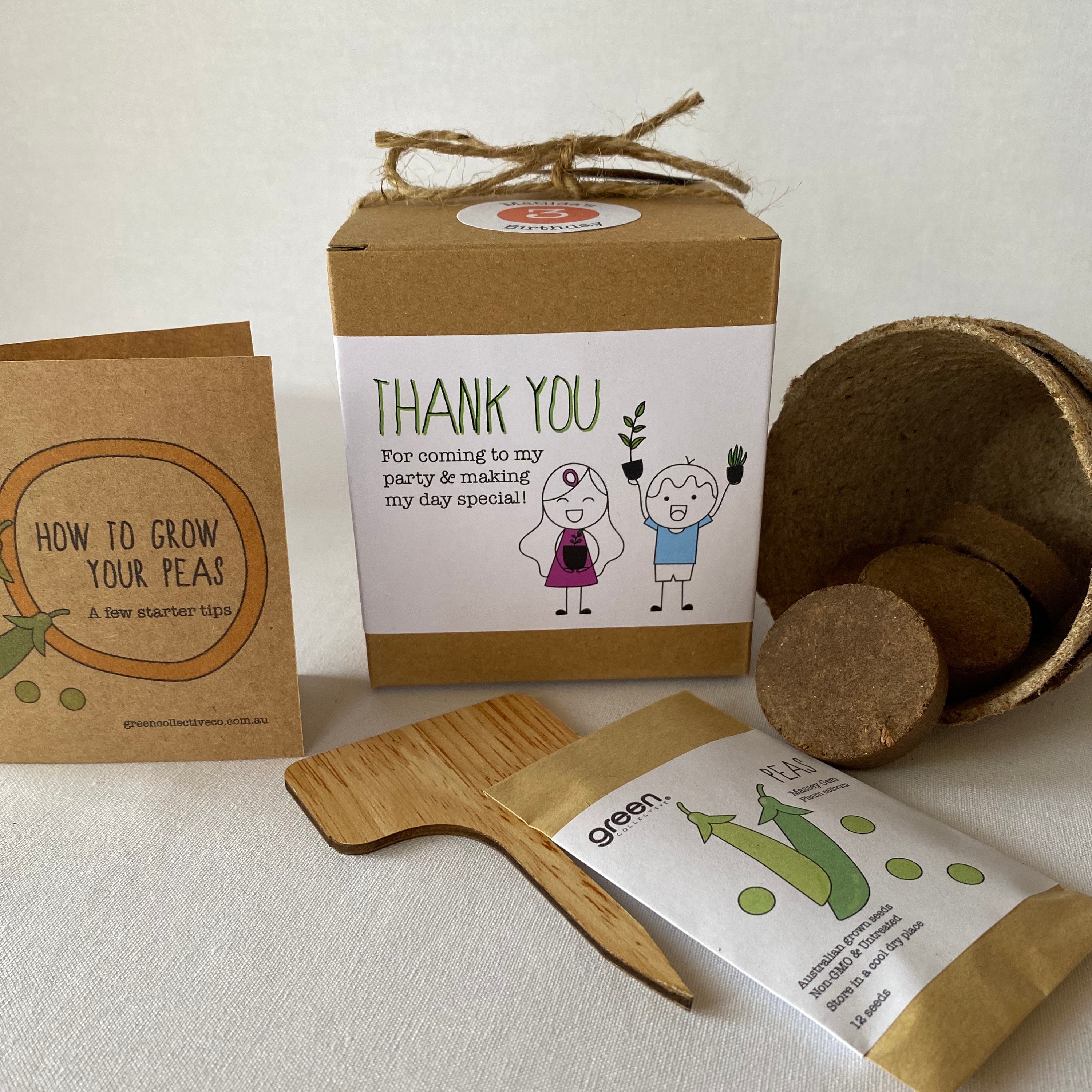 Birthday Party Favour Boxed Seed Kits for Boys and Girls - Etsy Australia