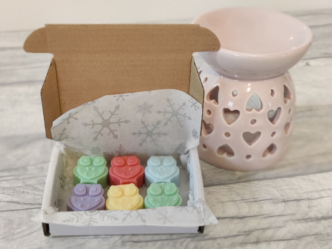 Owl Gift Set Wax Melt Shaped Animal Shaped Wax Melts Gift - Etsy