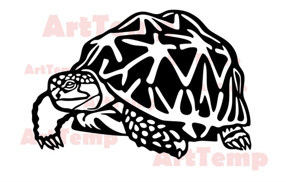 Turtle Svg Turtle Clipart SVG Cut File Svg for Cricut Dxf - Etsy