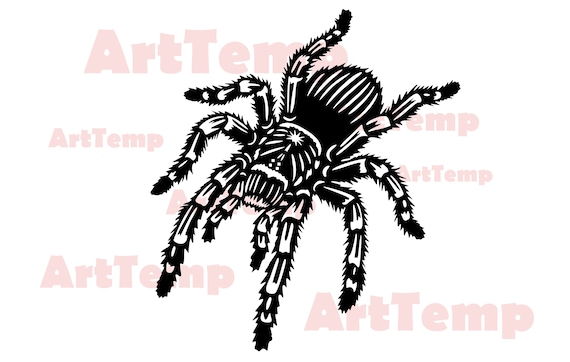 Spider SVG Spider Tarantula SVG Spider Web Svg Cut File Svg - Etsy Canada