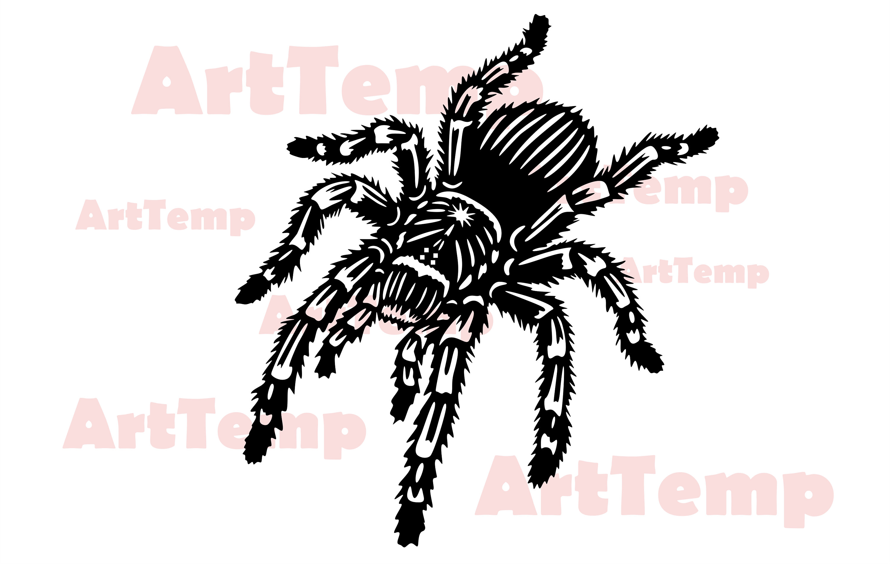 Spider SVG Spider Tarantula SVG Spider Web Svg Cut File Svg - Etsy Canada