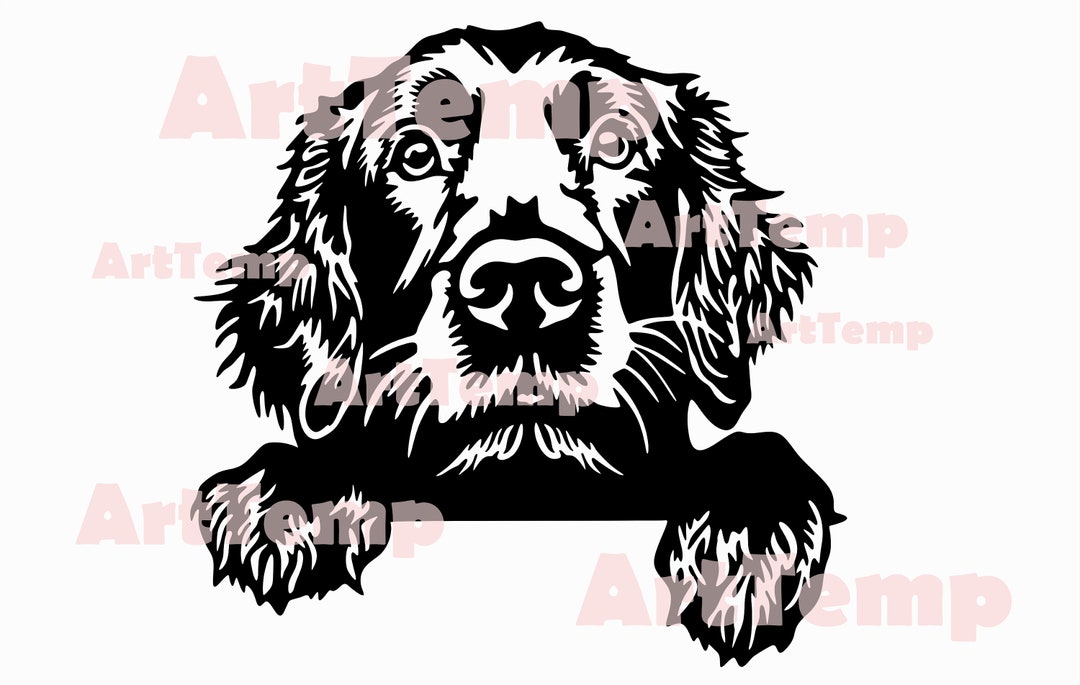 Boykin Spaniel Svg, Dog Svg Cricut, Breed Pet Face Head, Clipart ...