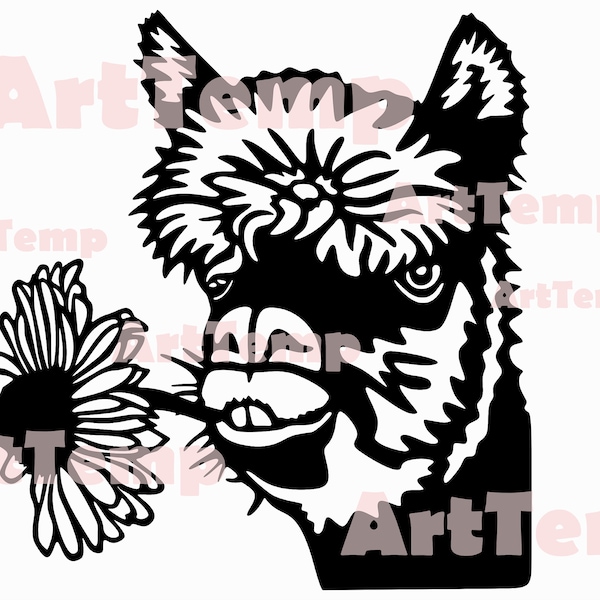Alpaca Svg - Etsy