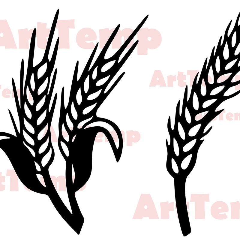Wheat Svg - Etsy