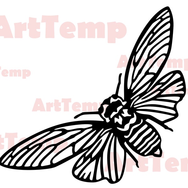 Papercut Templates - Etsy