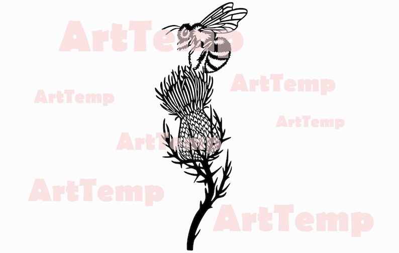 Thistle Svg for Cricut Papercut Template Botanical Clipart - Etsy