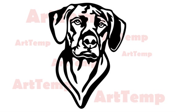 Rhodesian Ridgeback Svg Rhodesian Ridgeback Files for Cricut | Etsy