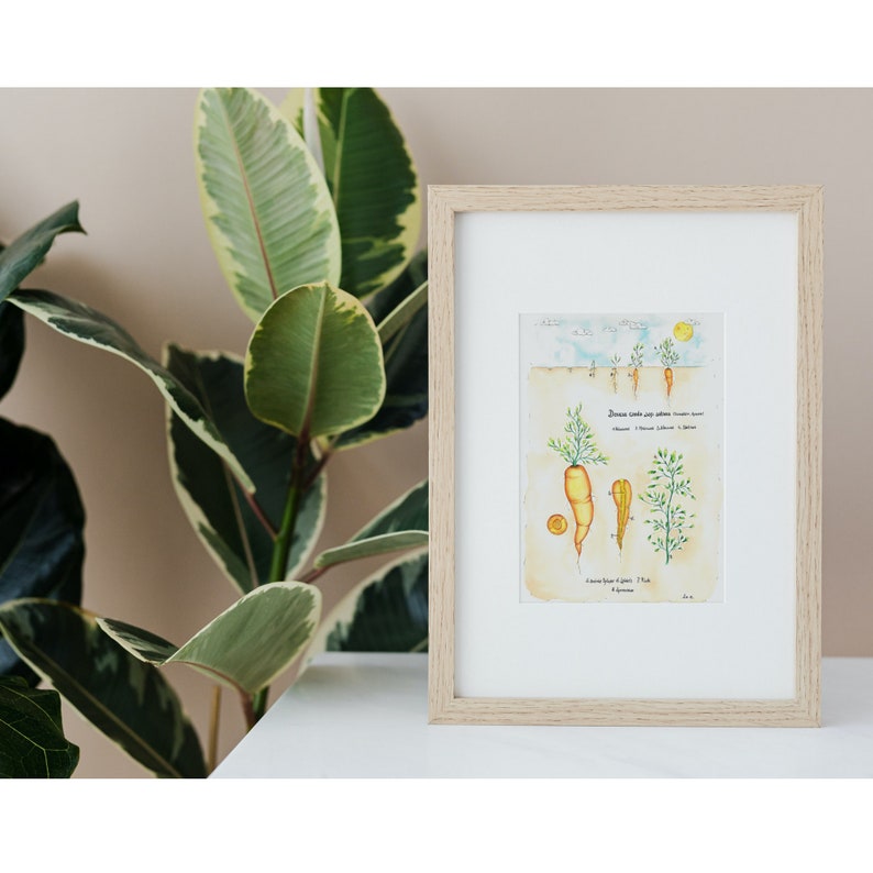 Botanical Art Print of a Happy Carrot / Print of a Painting of a Life ...