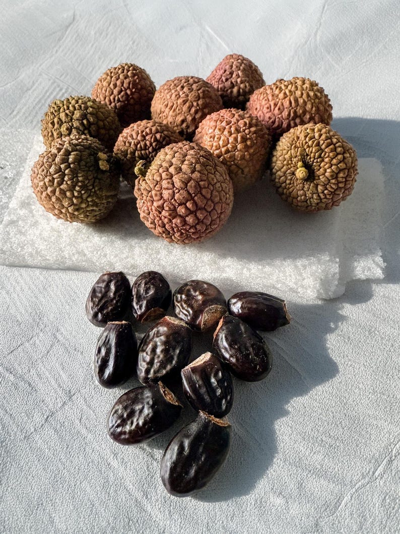 Lychee (seeds) Pink Litchi Sweet Juicy Easy to Grow Fruit Tropical ...