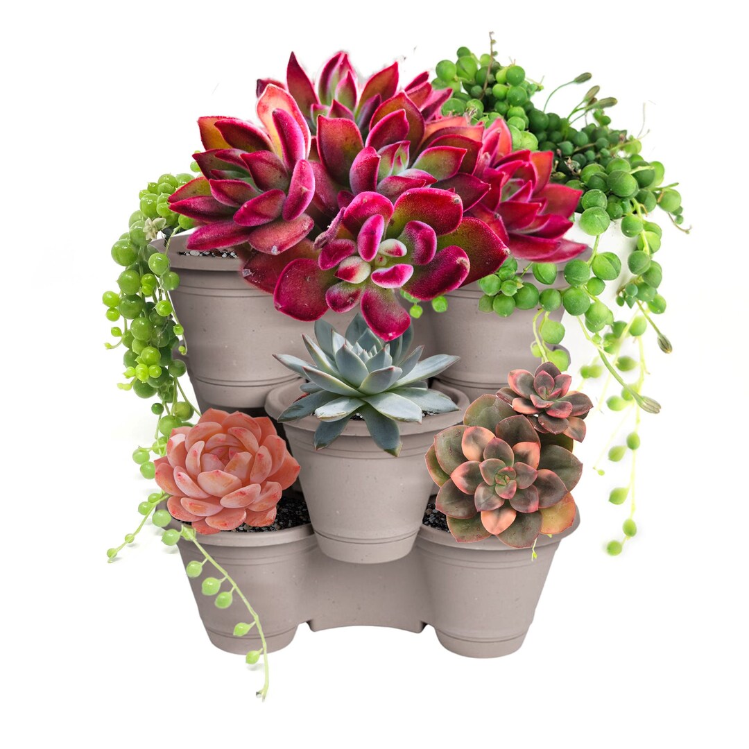 Stackable 3-tier Planters 3 Levels/9 Pots Small Live - Etsy