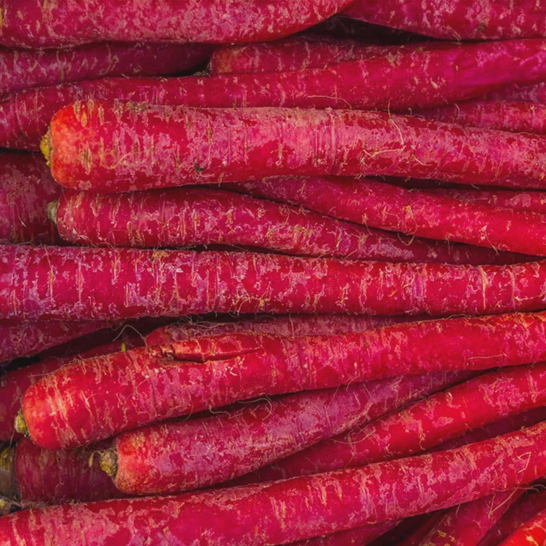 Carrot (seed) Kyoto Red, Rare Japanese Heirloom Sweet Red Root ...