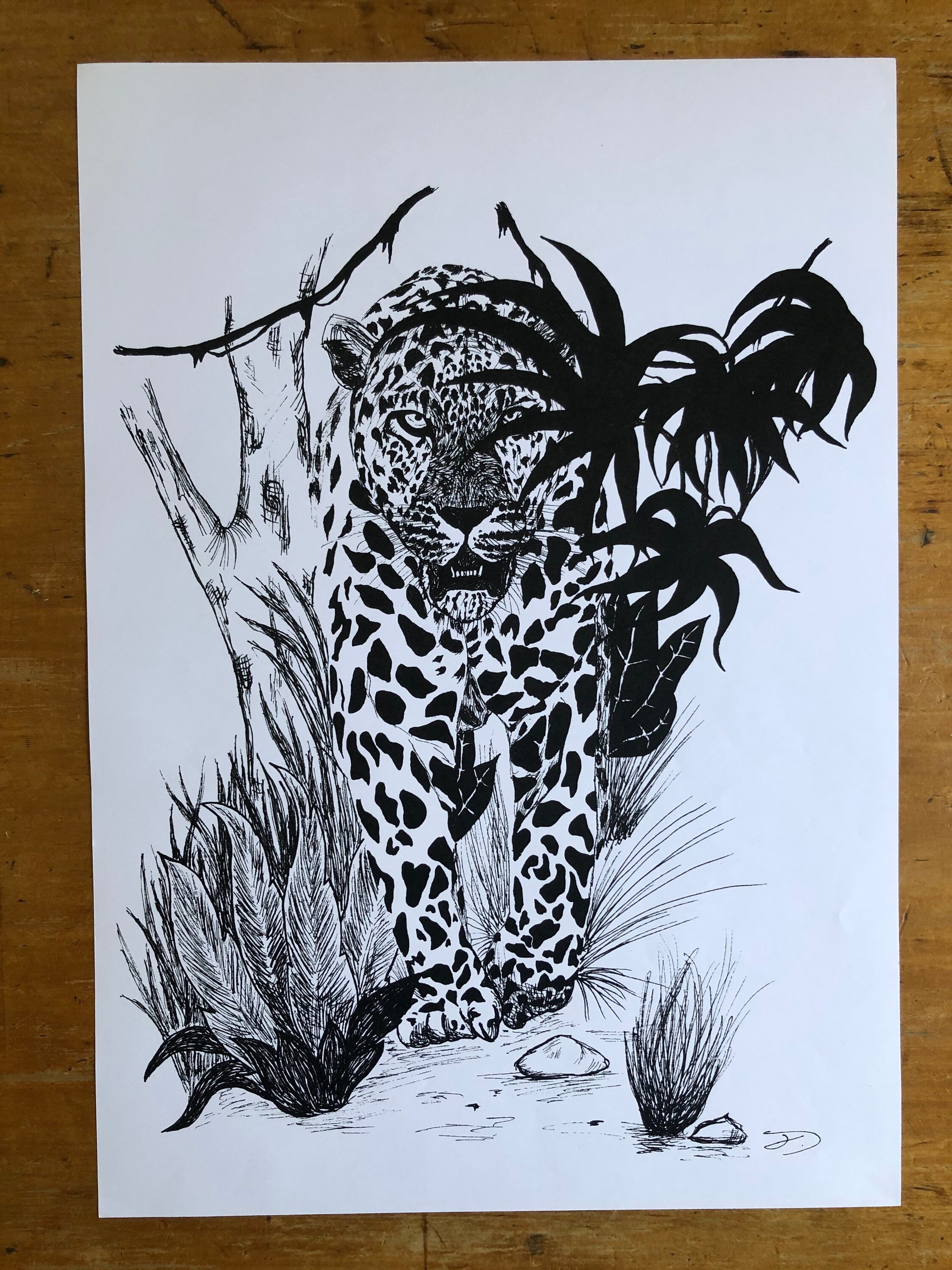 Leopard Ink Line Art Print - Etsy