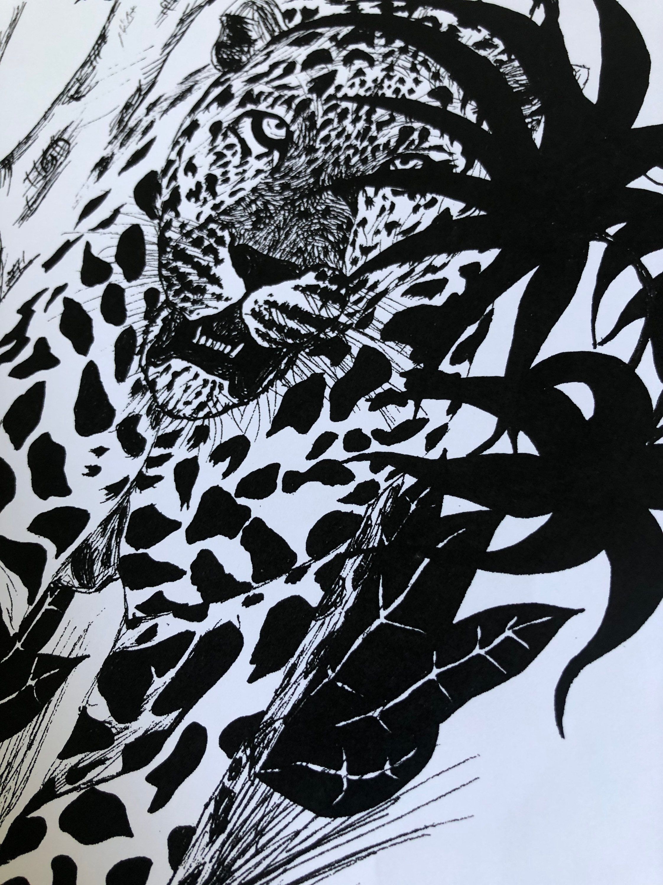 Leopard Ink Line Art Print - Etsy