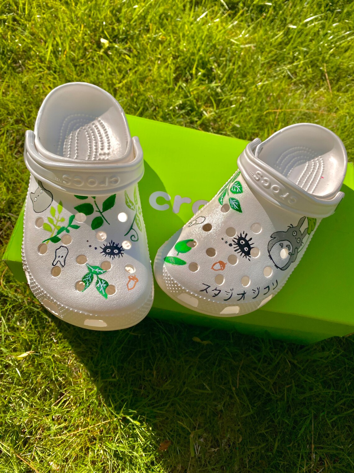 Tortoro Inspired Crocs - Etsy