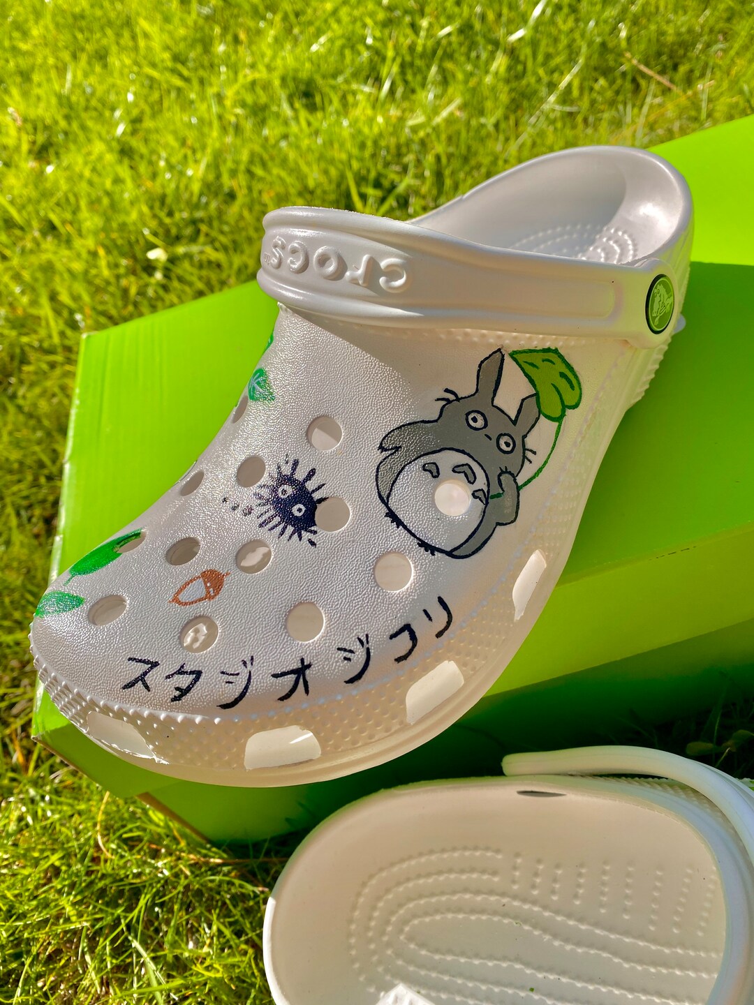 Tortoro Inspired Crocs - Etsy