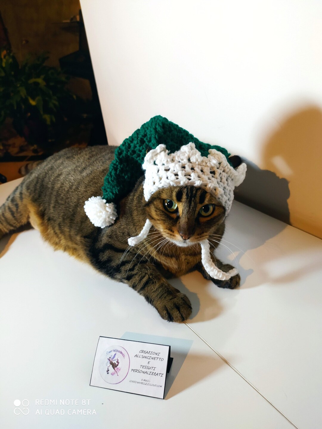 Christmas Elf Cat Hat - Etsy