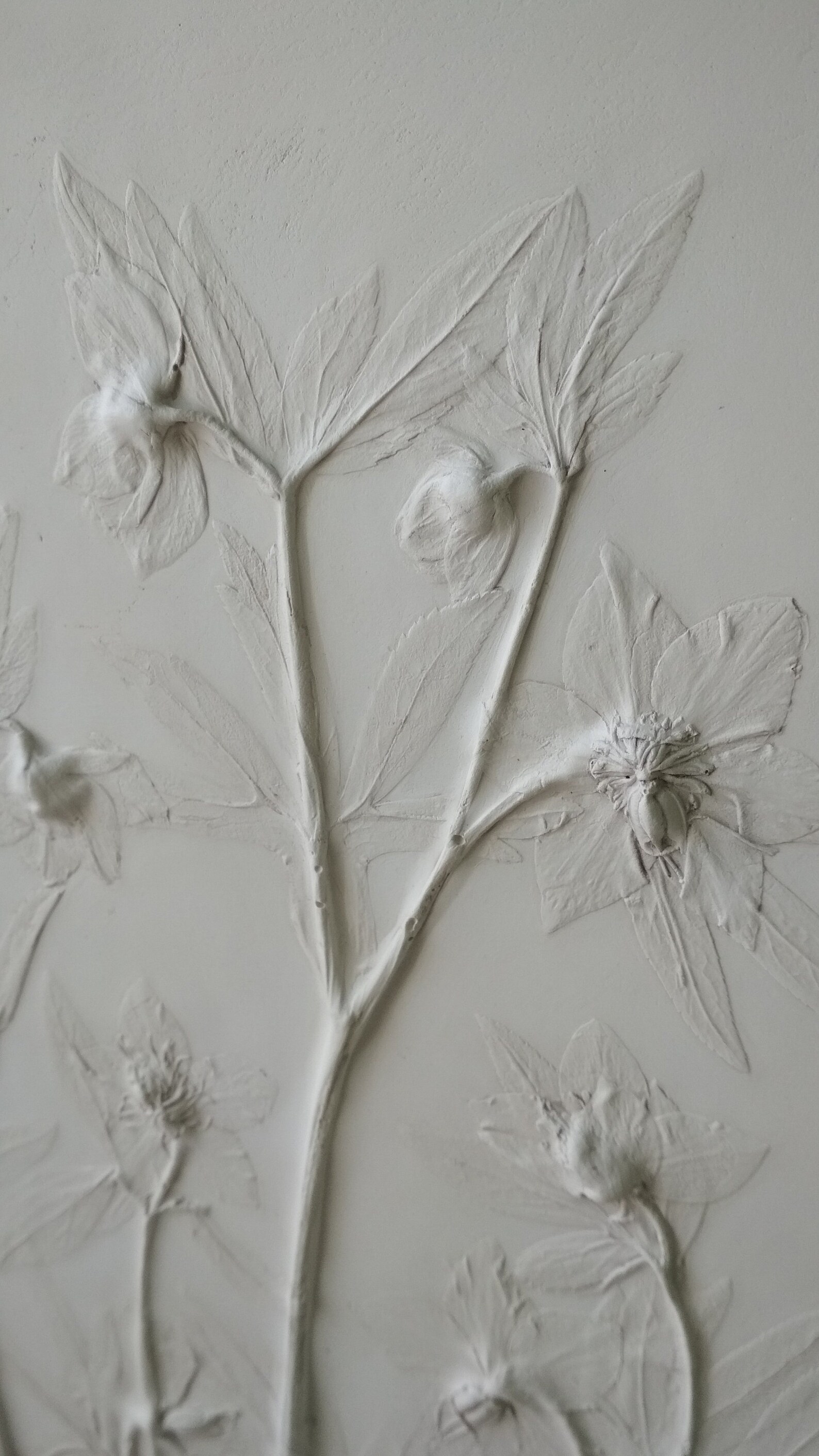 Botanical bas-relief Plaster decor Large relief art Plaster | Etsy
