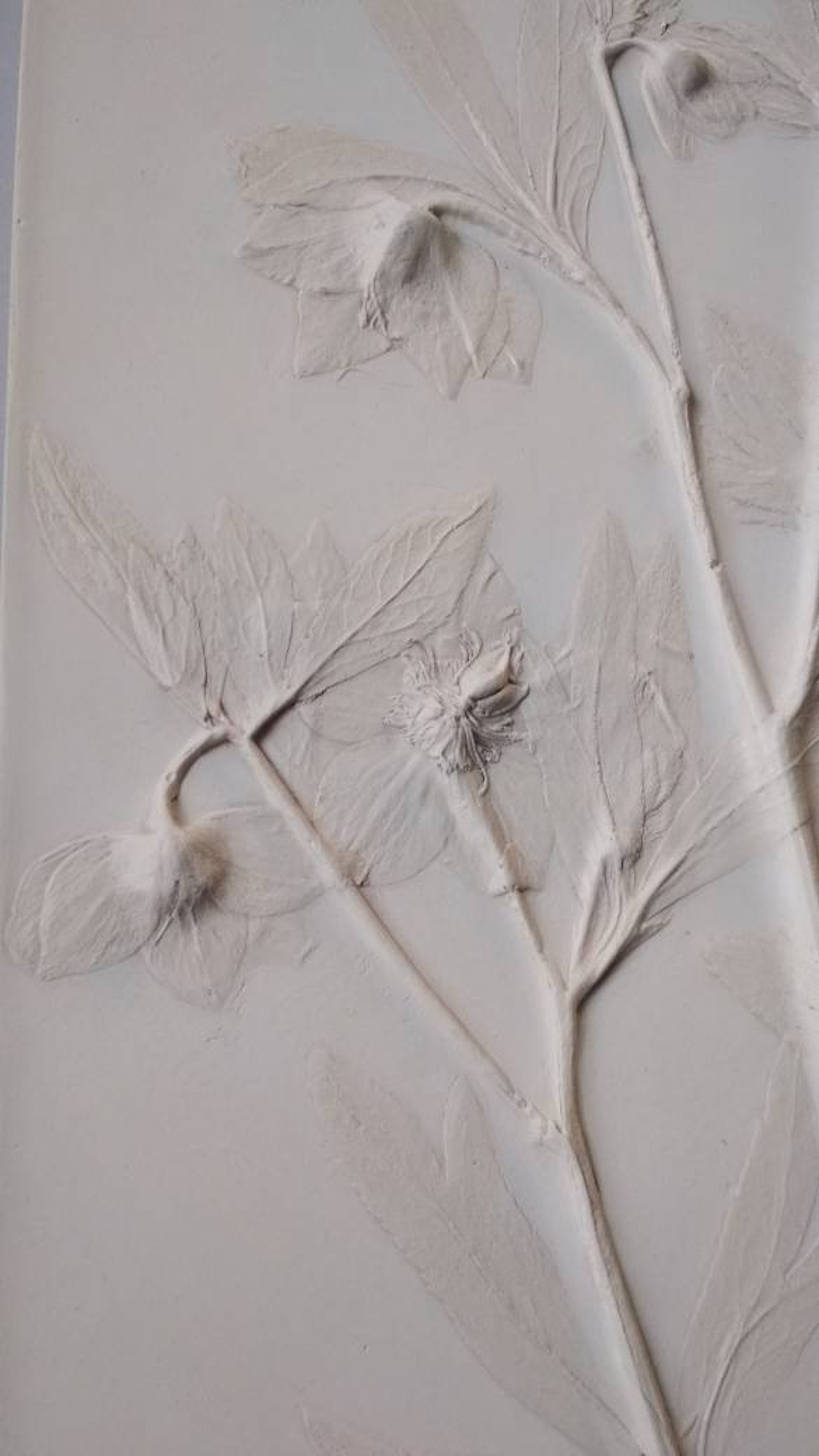 Botanical Bas-relief Plaster Decor Large Relief Art Plaster - Etsy