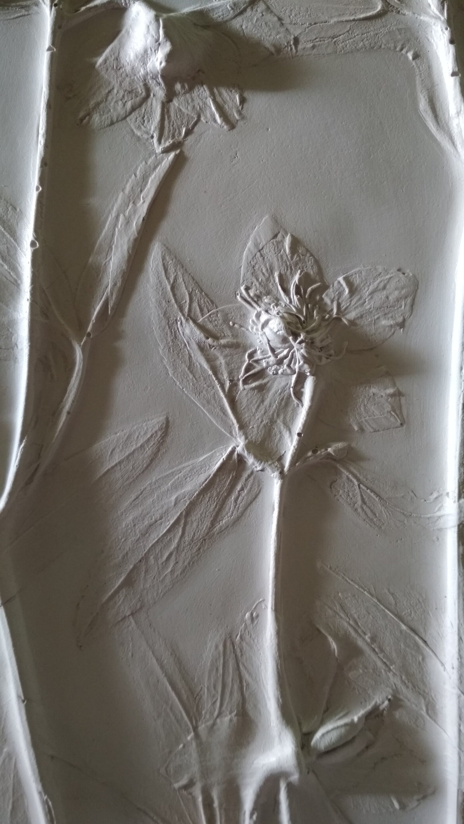Botanical bas-relief Plaster decor Large relief art Plaster | Etsy