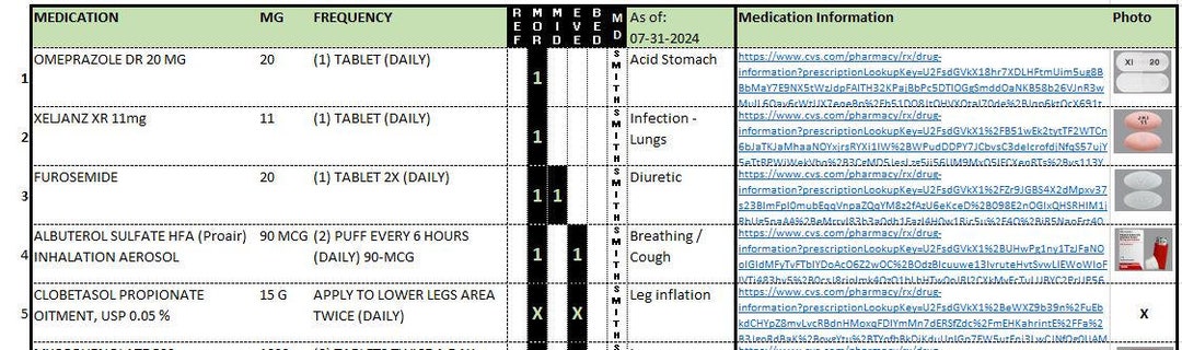 Microsoft Excel Spreadsheet: Medication Log - Etsy