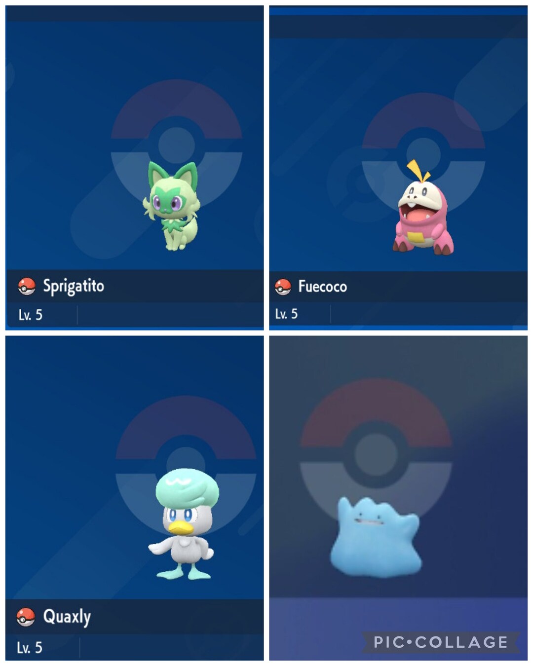 Pokemon Scarlet and Violet 6IV Sprigatito Quaxwell Fuecoco FREE Masuda ...