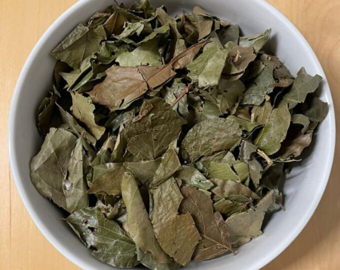 Kinkeliba Leaves, Kinkeliba Tea Loose -quinqueliba, Sehhaw, Sekhaw ...