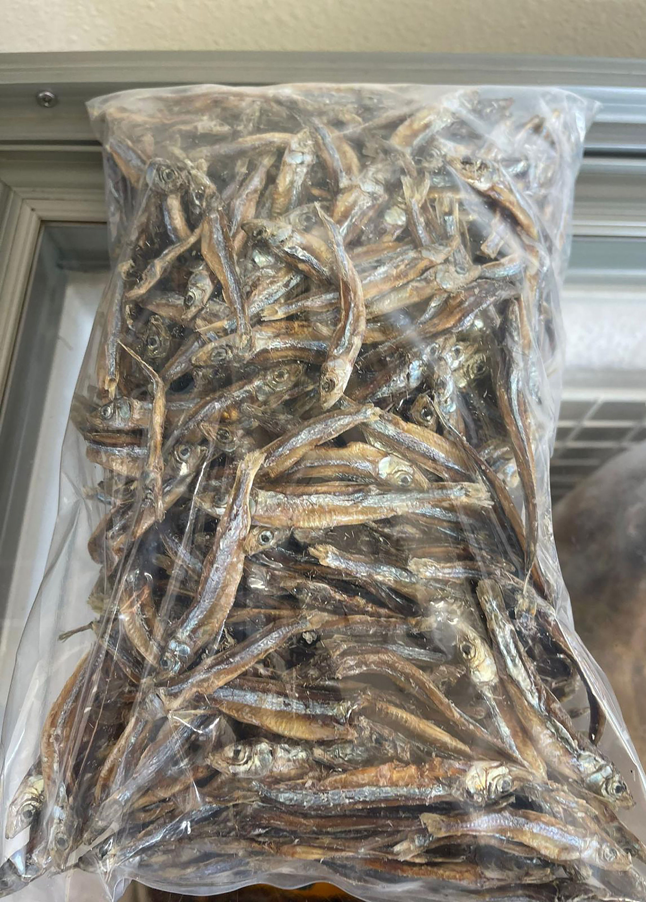 Dry Anchovy Fish