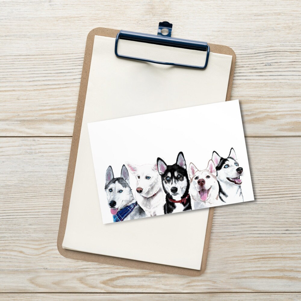 Husky Postcard/husky Stationary/siberian Husky/alaskan Husky/husky ...