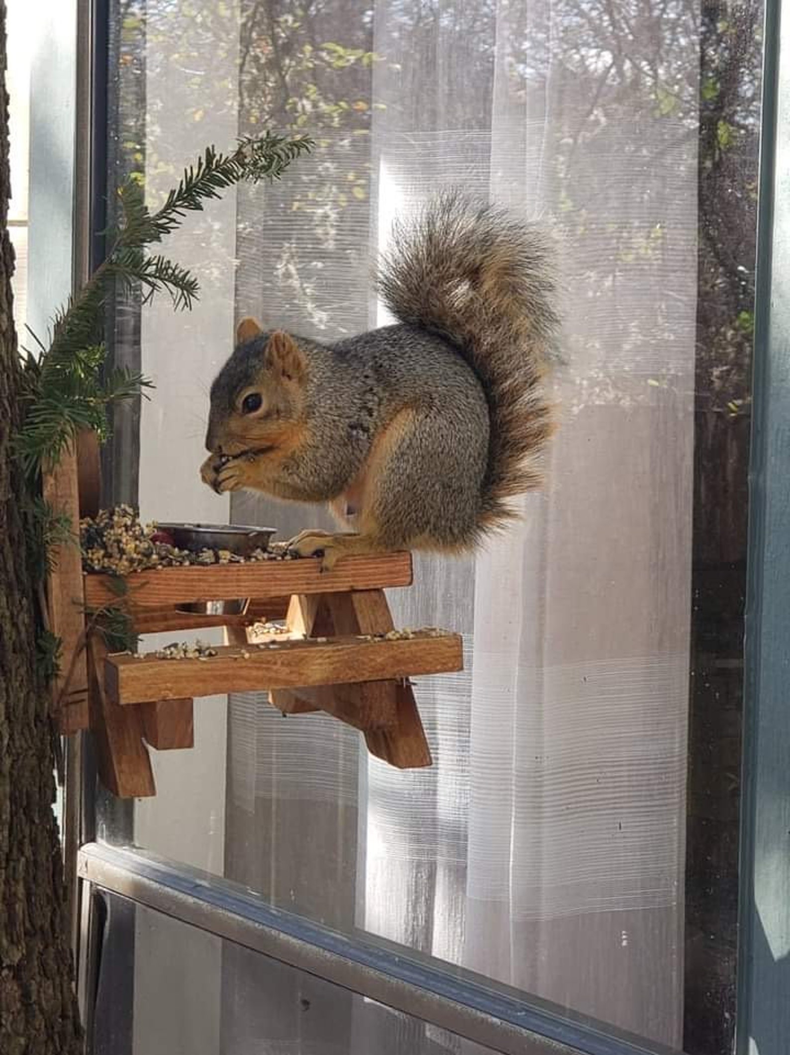 Handmade Squirrel Picnic Table Picnic Table for Squirrel | Etsy